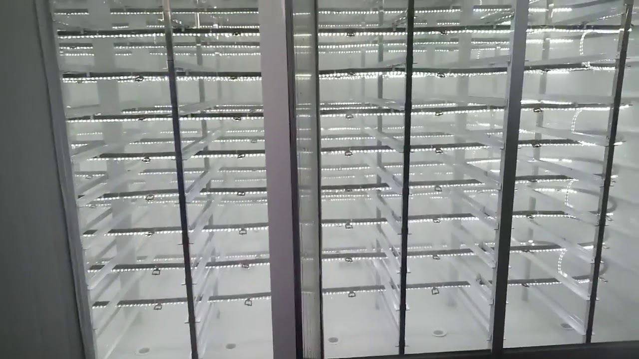 Commercial Bean Sprout Making Machine - YouTube