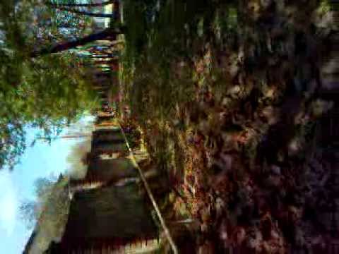 Copy of qorxulu zarafat xanbulan