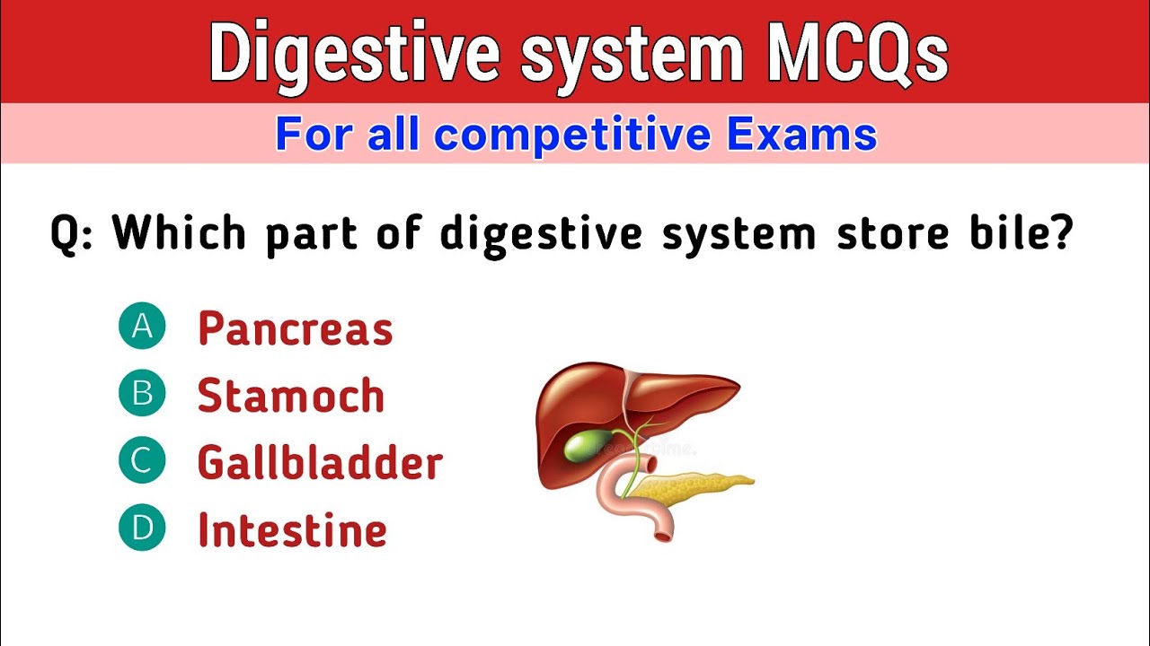 Human Digestive system mcq | Biology mcq 2025 | Bsc Nursing digestive ...