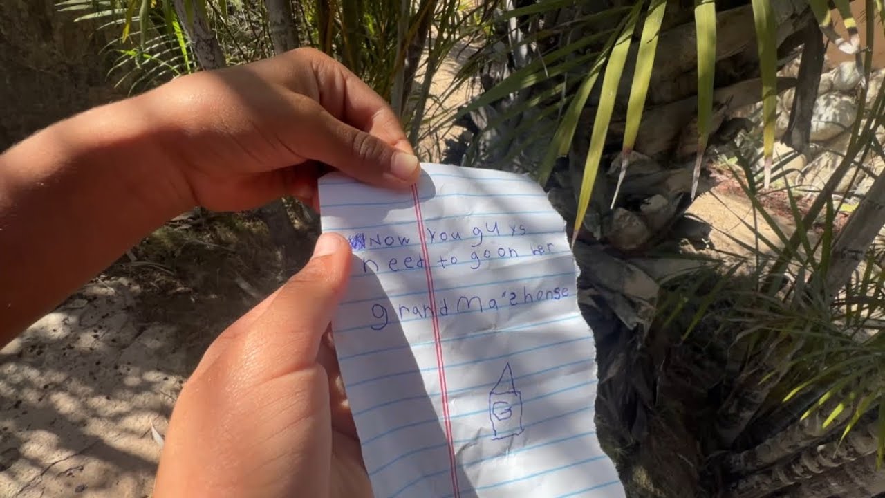 Epic Treasure Hunt: Finding the Lost Dog! Game Master’s Mysterious ...