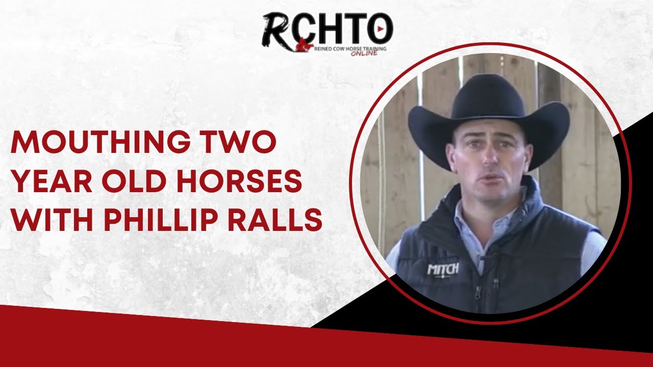Mouthing Two Year Old Horses With Phillip Ralls - YouTube