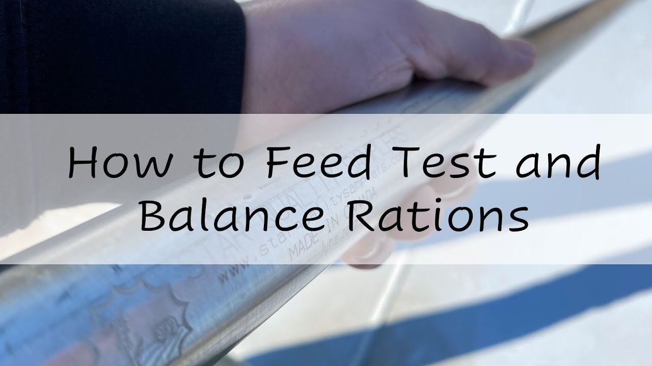 Feed Testing - Considerations on How to Do It - YouTube