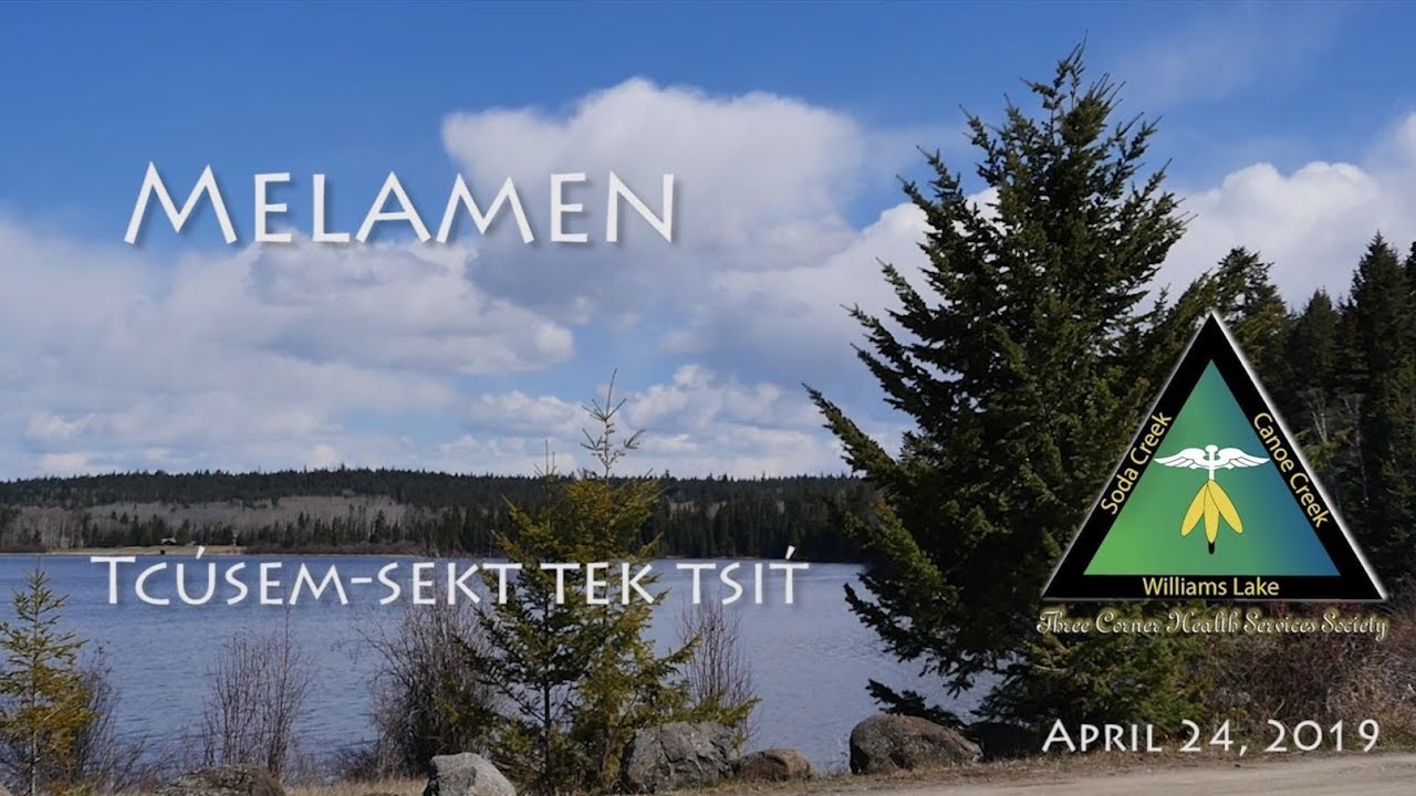 Melamen - Spruce Salve 2019 - YouTube