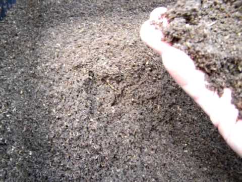 Worm composting. Rubber band worms - YouTube