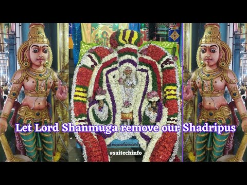 Shadripu (6 Enemies) removed by Lord Shanmuga - YouTube
