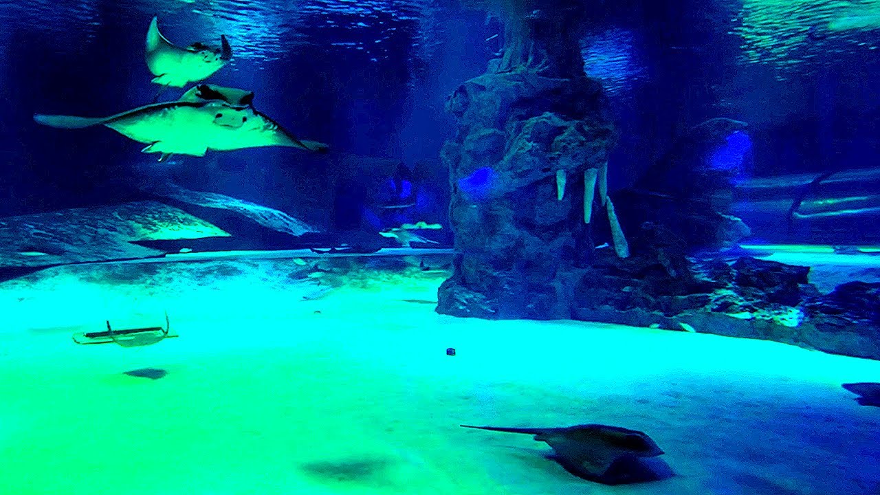 Inter The Deep Water - (Instrumental Music) - YouTube