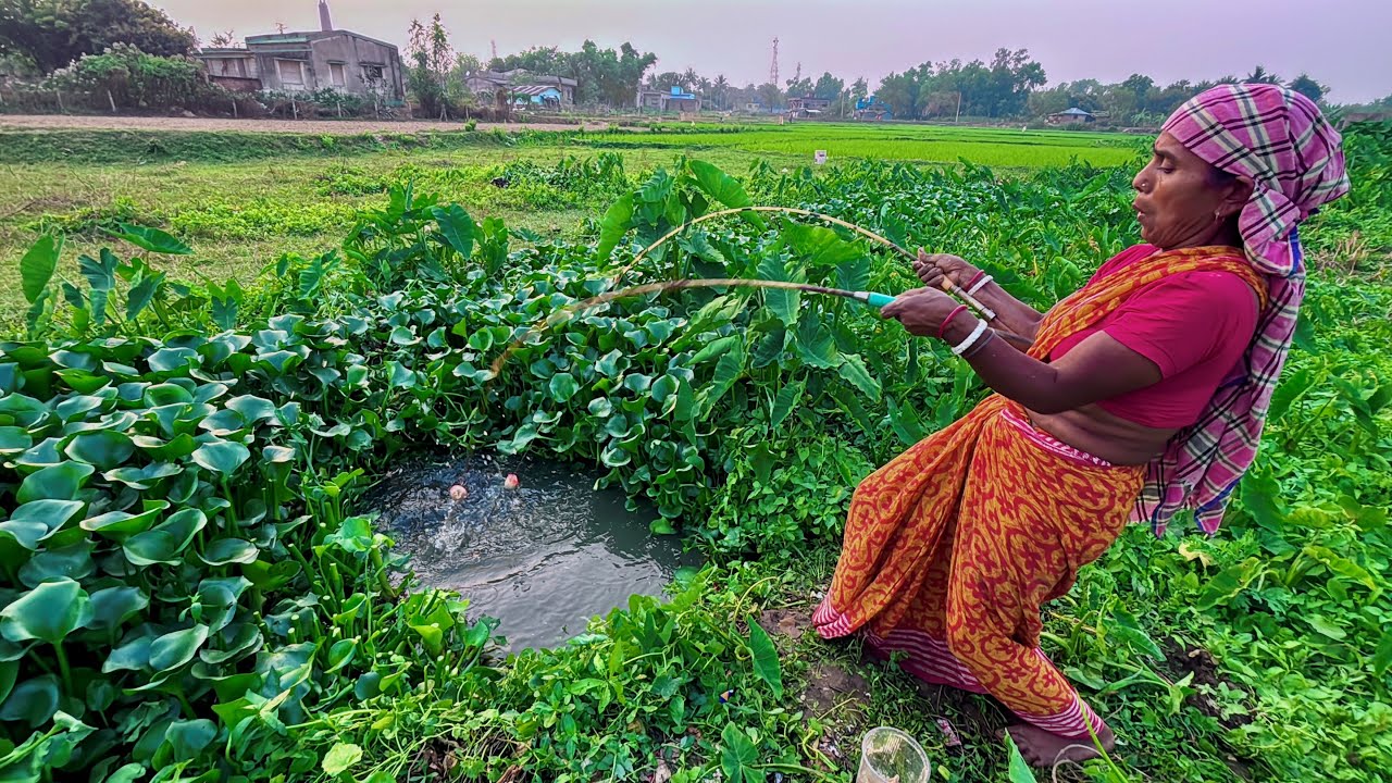 Fishing video🐬🐬 | Two Lady Hook Fishing In Canal | Best Two Stick Hook ...