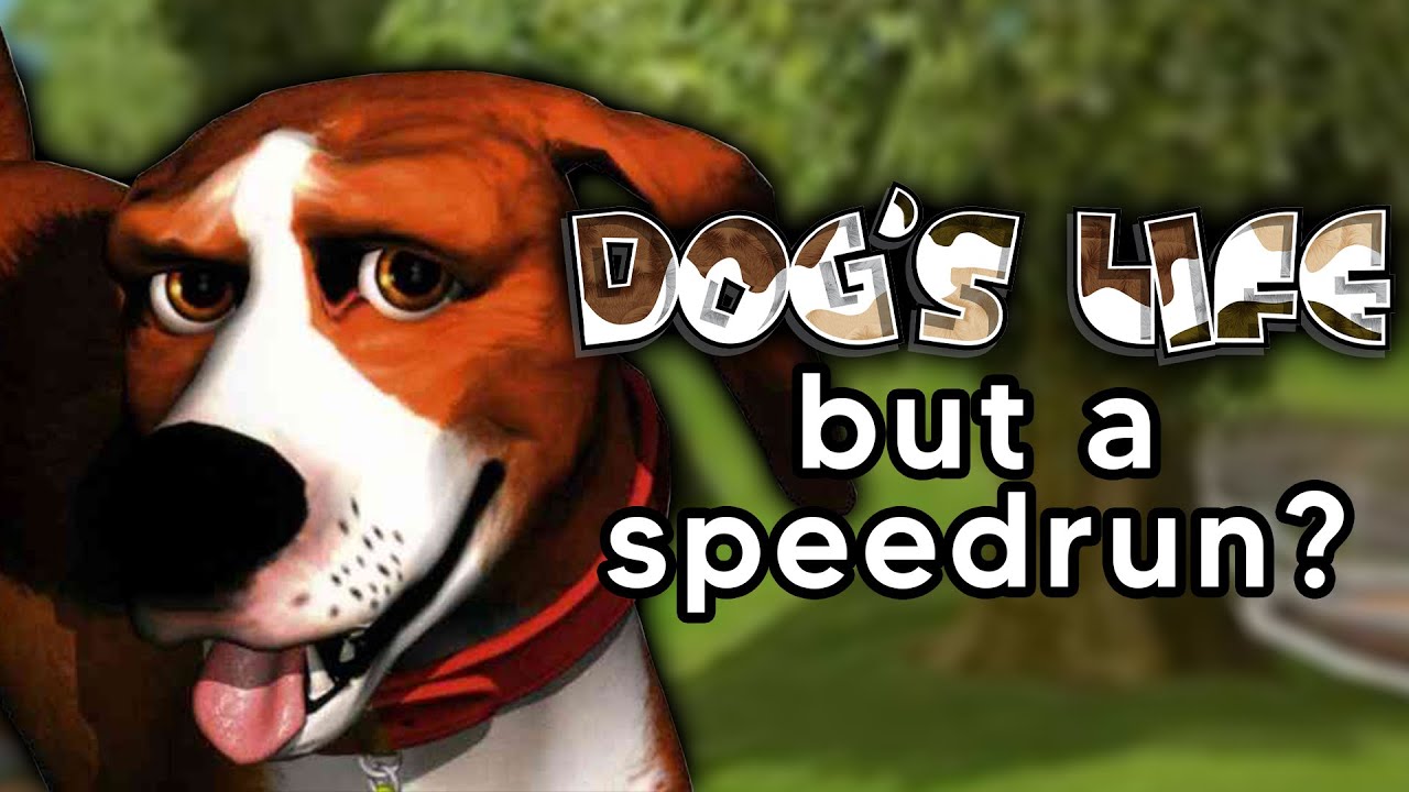 Dog's Life...but a speedrun? - YouTube