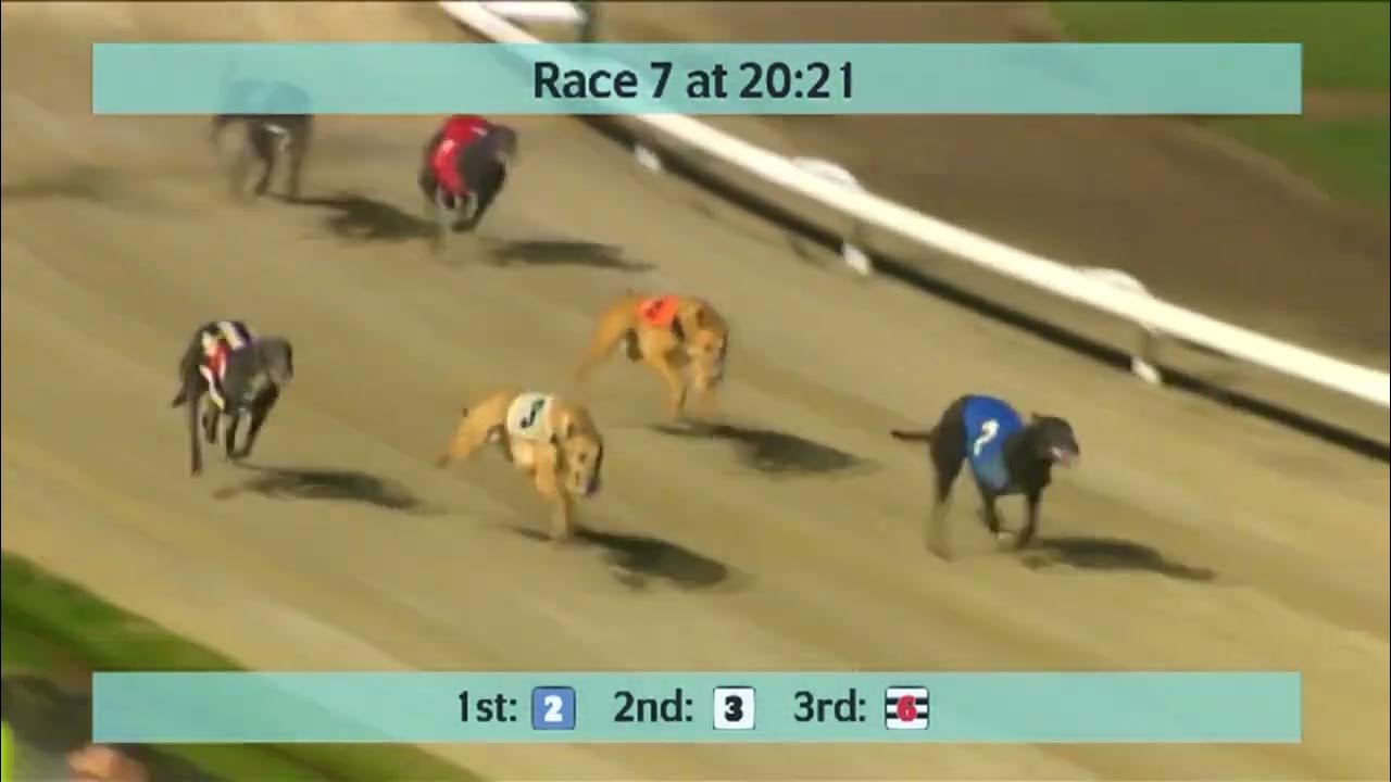 Monmore Greyhounds Races on 16th March 2024 - YouTube Monmore Greyhounds Races on 16th March 2024 - YouTube