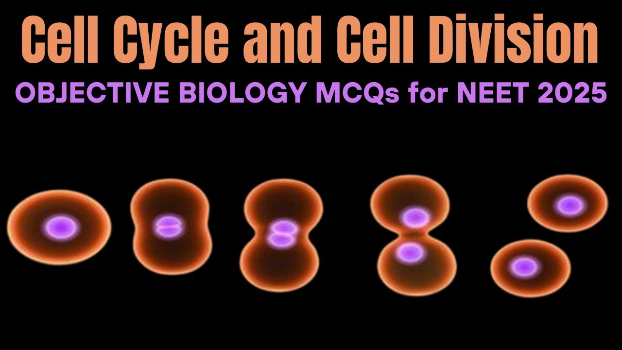 OBJECTIVE BIOLOGY MCQs for NEET 2025 || Cell Cycle and Cell Division ...