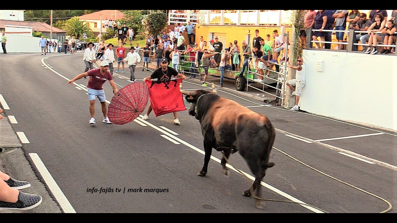 “TOURADA À CORDA” – Boa Hora / Santo Amaro – Ilha de São Jorge - YouTube