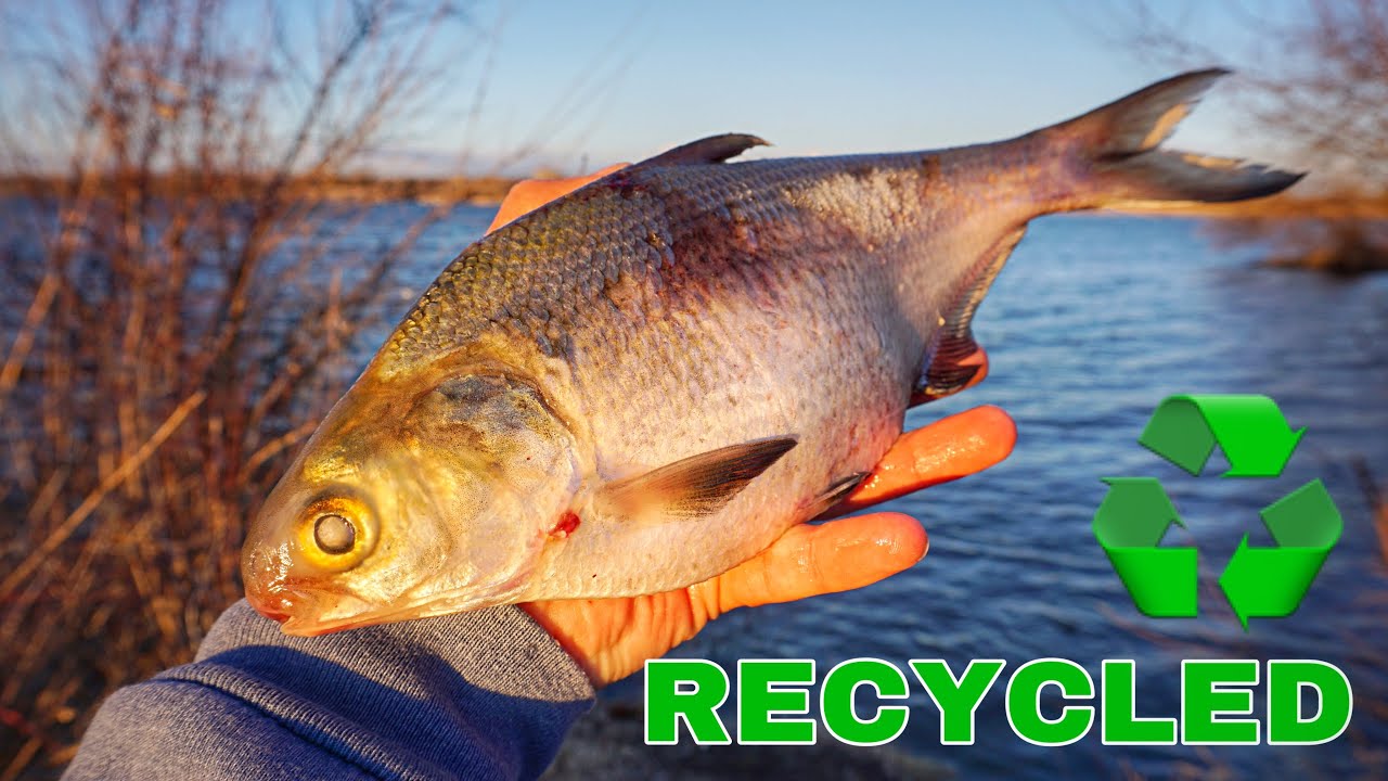 Fishing w/ GIANT BAITS Found On The Ground!!! (Recycled Bait Challenge ...