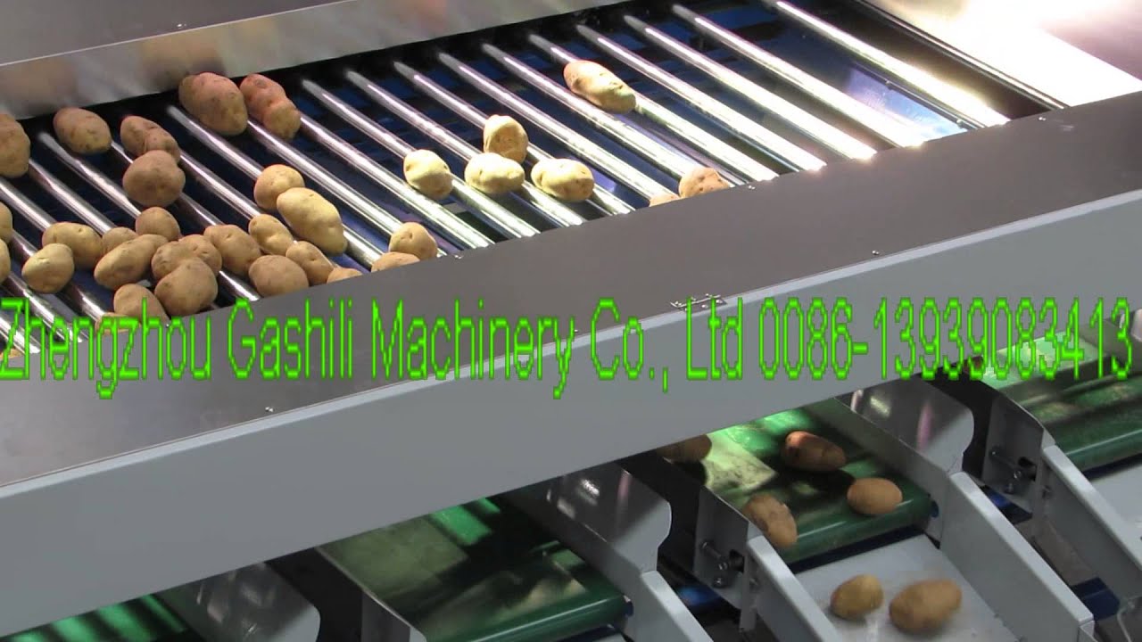stable performance potato grading machine/sorting machine - YouTube