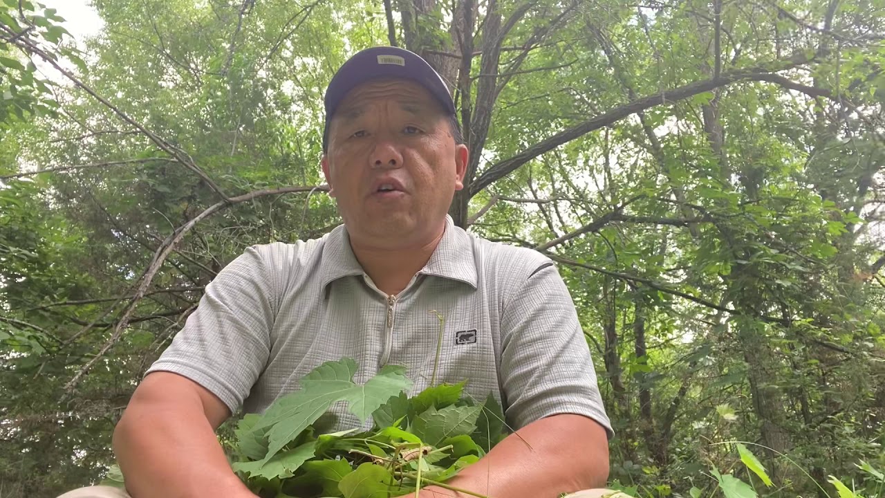 Hmoob Cob Fab - Hmong Chao Fab - ເຈົ້າຂອງທ້ອງຟ້າມົ້ງ6/21/20 - YouTube
