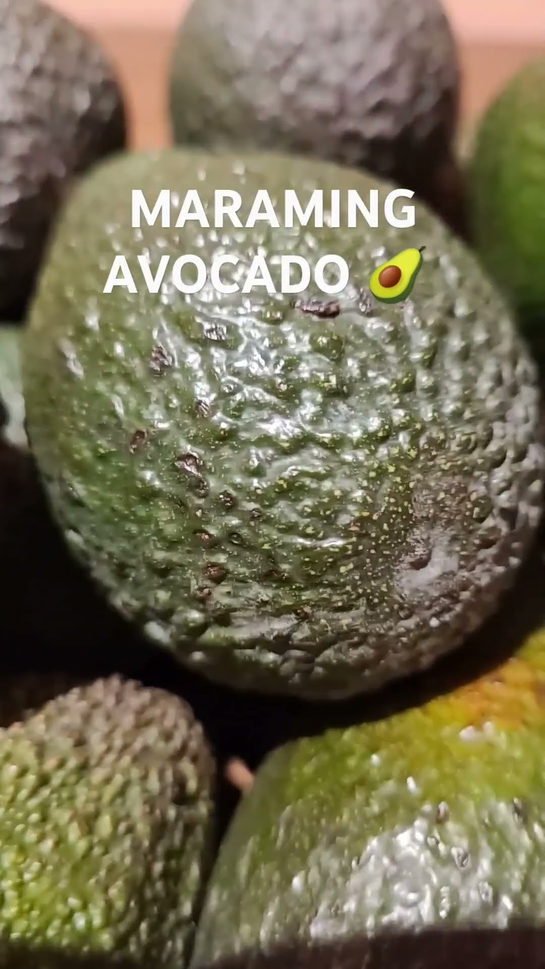 Deliciousavocado Freshfruits Jungiemae Vlog 🇨🇦 Youtube