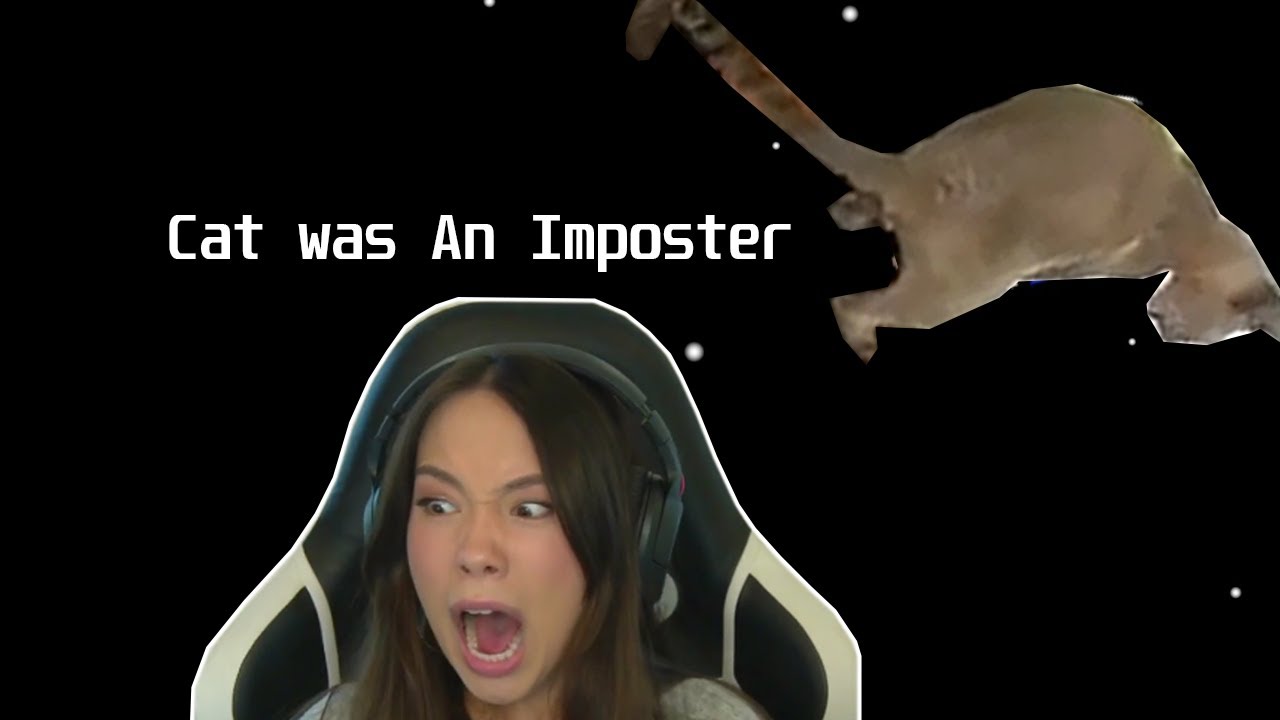 IMPOSTER CAT KILLS PLAYER IN AMONG US! - Among Us Clips of the Day ...