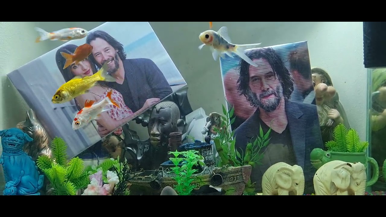 Keanu Reeves In My Heart | Calm Moments - YouTube