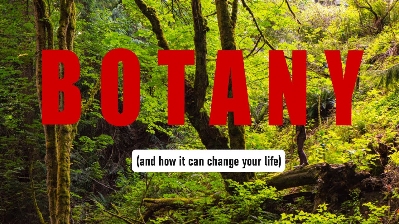 Why YOU Should Learn About Botany (and nature as a whole) - YouTube