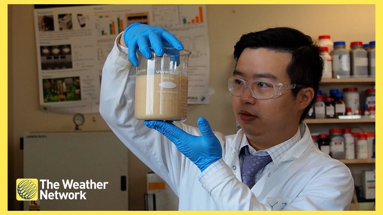 How 'Biofoam' Packaging is Made From Waste Wood - YouTube