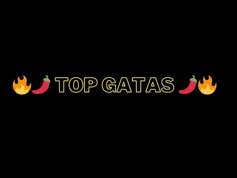 🌶️ Top Gatas 🌶️ #meninadojob #meninadancando #meninadojobslowed