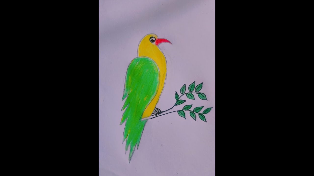 Bird Art Drawing Tutorial Step By Step | Color Bird Drawing | Dipa's ...