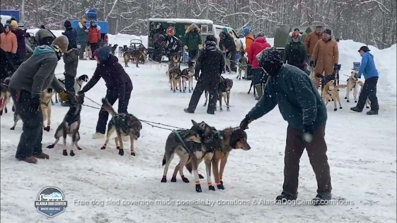 Alaska Sled Dog Race - Hunter Keefe Bib #6 Tug 150 Goose Bay Inn - Feb ...
