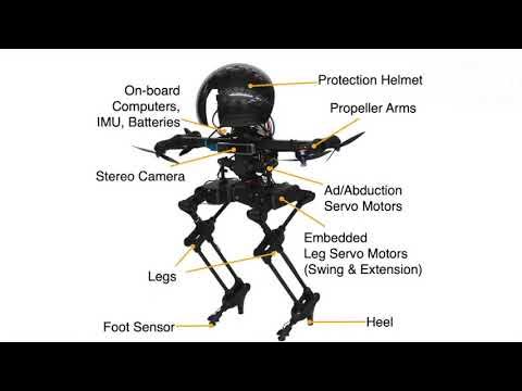 LEONARDO - a bipedal walking robot that can fly - YouTube
