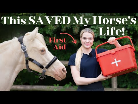 An Equine First Aid Kit could SAVE your Horse's Life one day!
