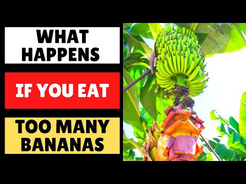 Does Eating Too Many Bananas Give You Diarrhea