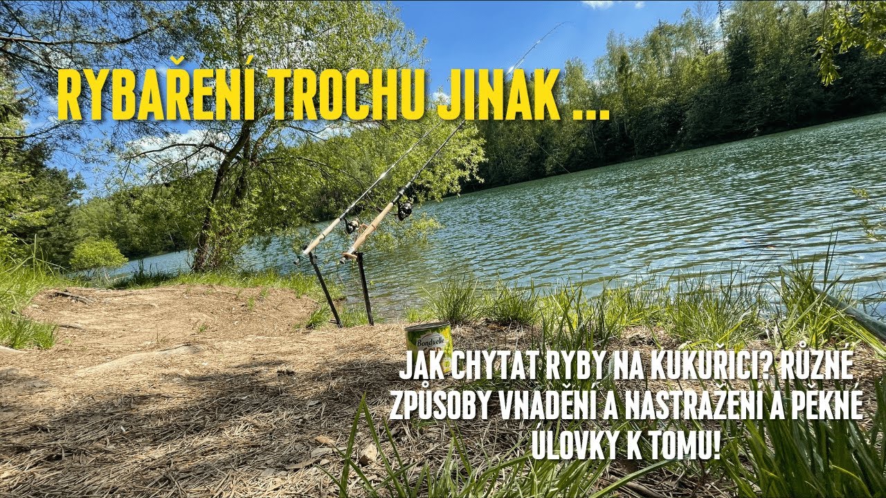 Jak chytat ryby na kukuřici? | Způsoby vnadění a nastražení | Ukázka ...