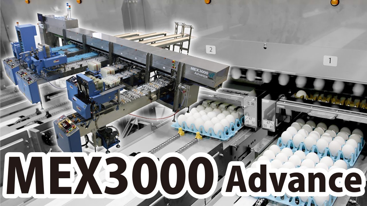 【NABEL】Egg Grading Machine MEX3000 Advance ≪30,000eggs/hr≫ - YouTube