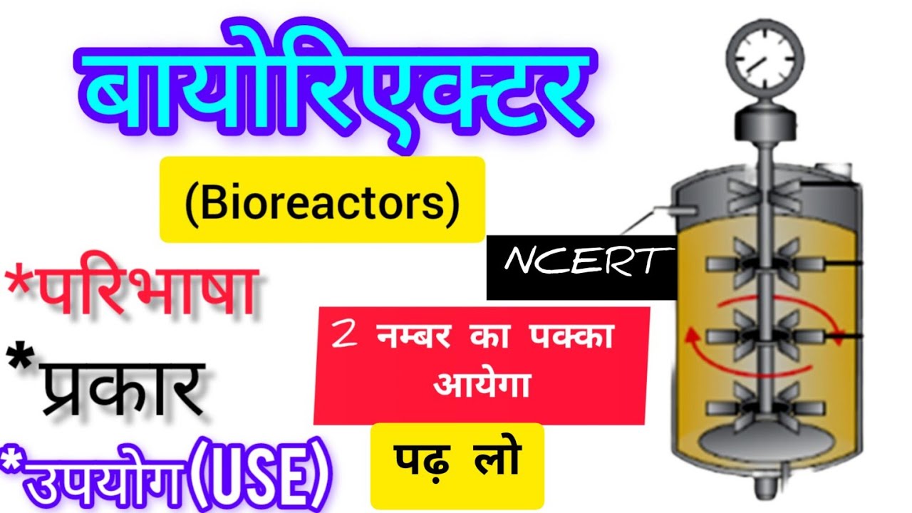 बायोरिएक्टर | Bioreactor क्या है! बायोरिएक्टर के प्रकार बायोरिएक्टर के ...