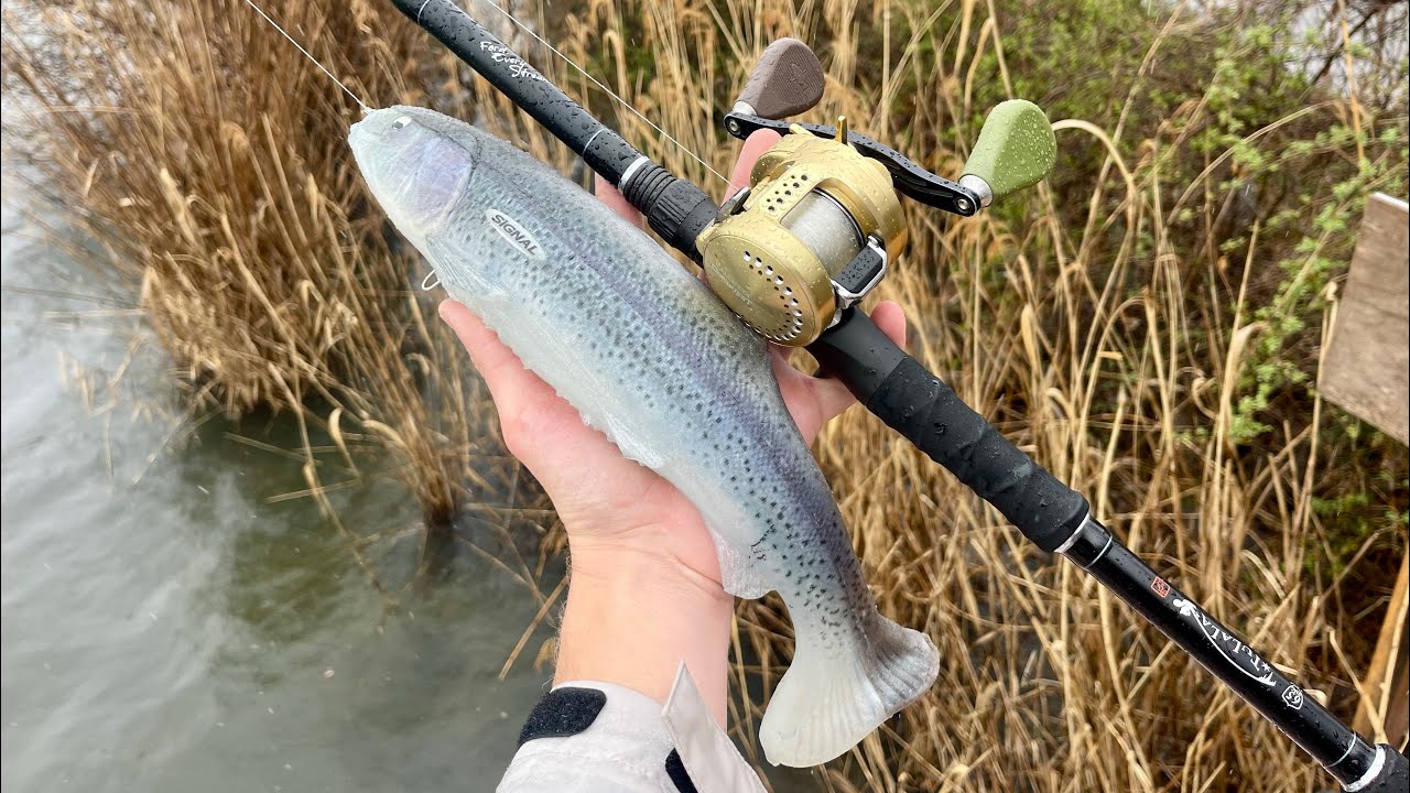 I Bought The BIGGEST Lure In Japan! - YouTube