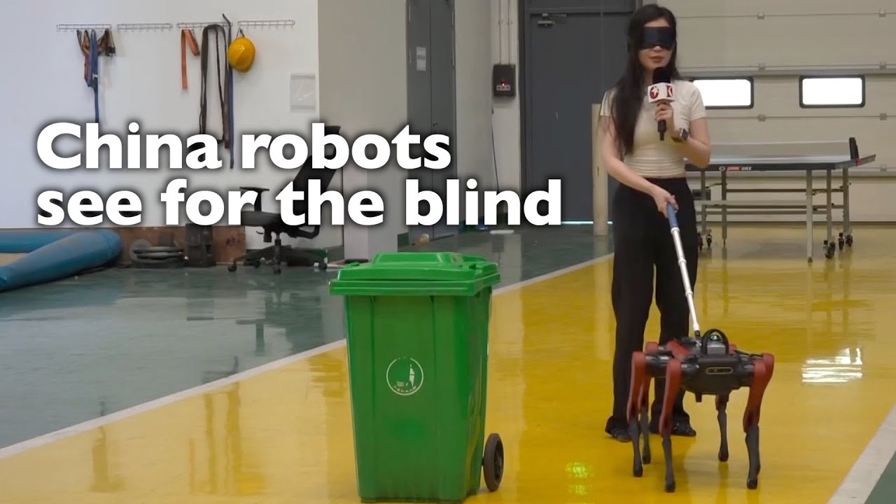 Shanghai university develops 6-legged guide robot for blind people and ...