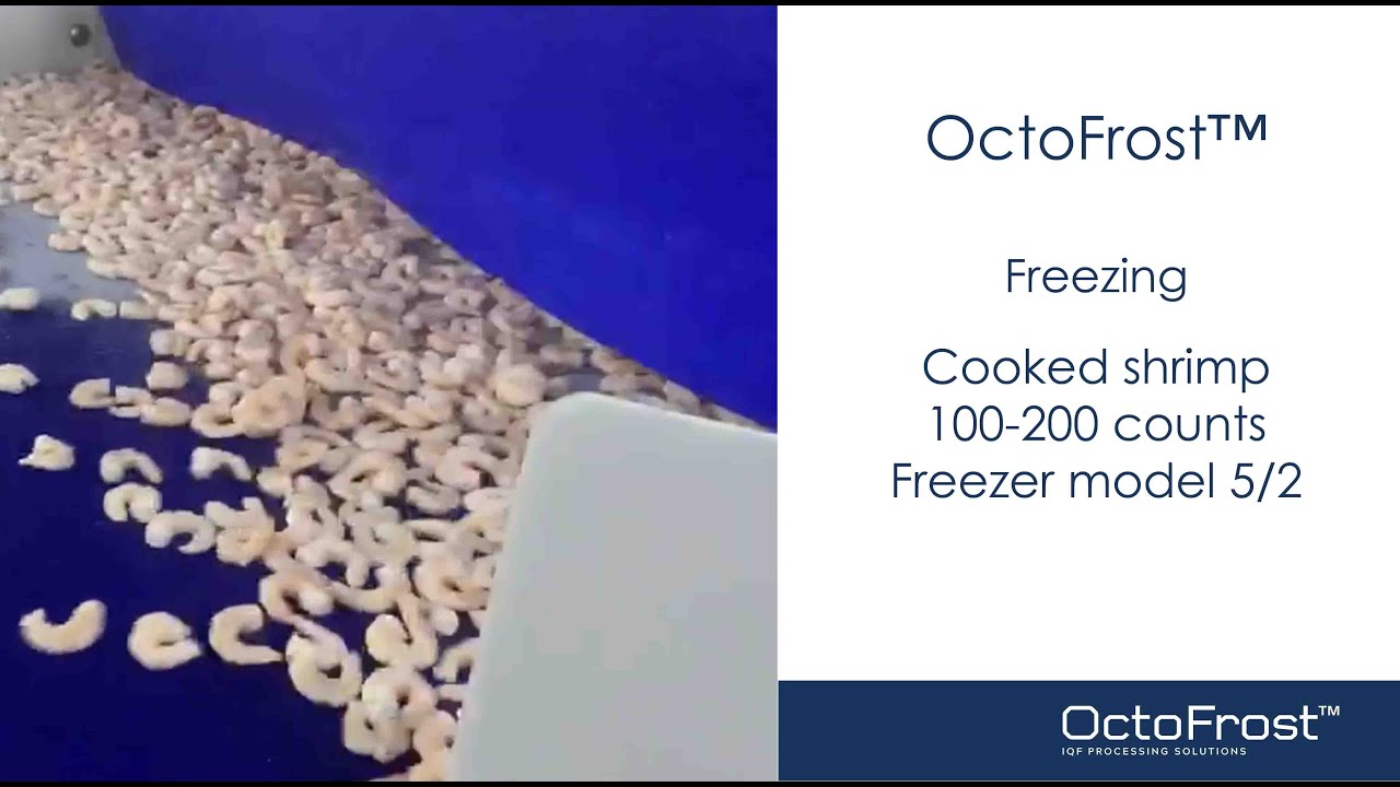OctoFrost™ Freezing Cooked Shrimp 100-200 Counts - YouTube