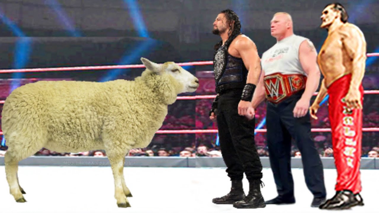 Sheep vs Roman Reigns, Brock Lesnar & The Great Khali - YouTube