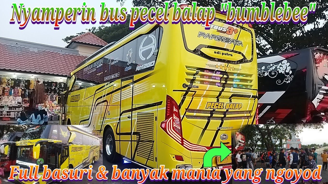 full telolet basuri & mania saat bus pecel balap "bumblebee" trip ...