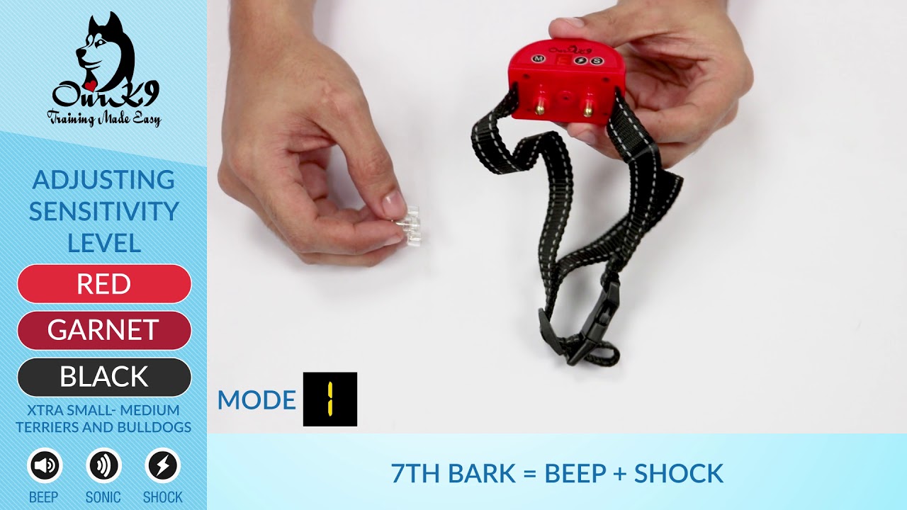 Shock Collar - Our K9 - How to Test Your Shock Collar - YouTube