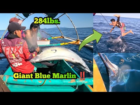284lbs. Huge Marlin...Ang pinaka malupit na ganstyo...‼️🎣 - YouTube