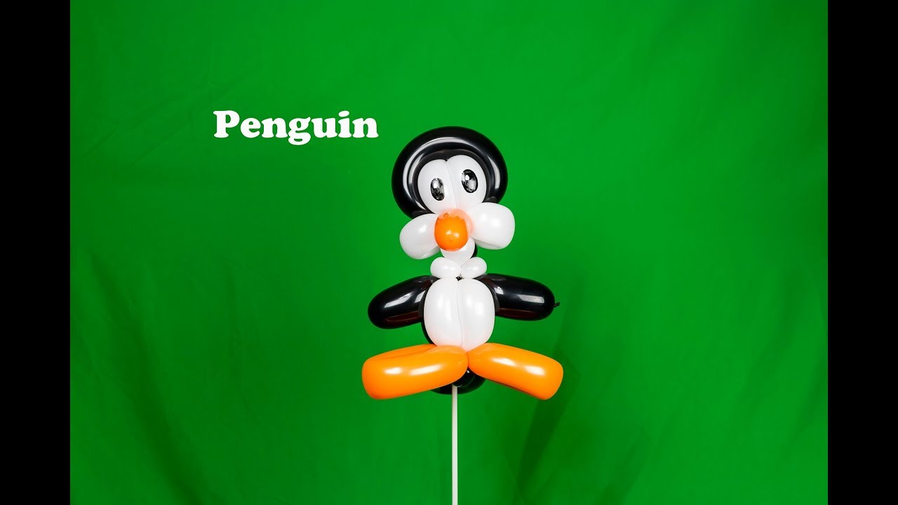 Learn how to make a cute balloon animal Penguin using balloon twisting ...
