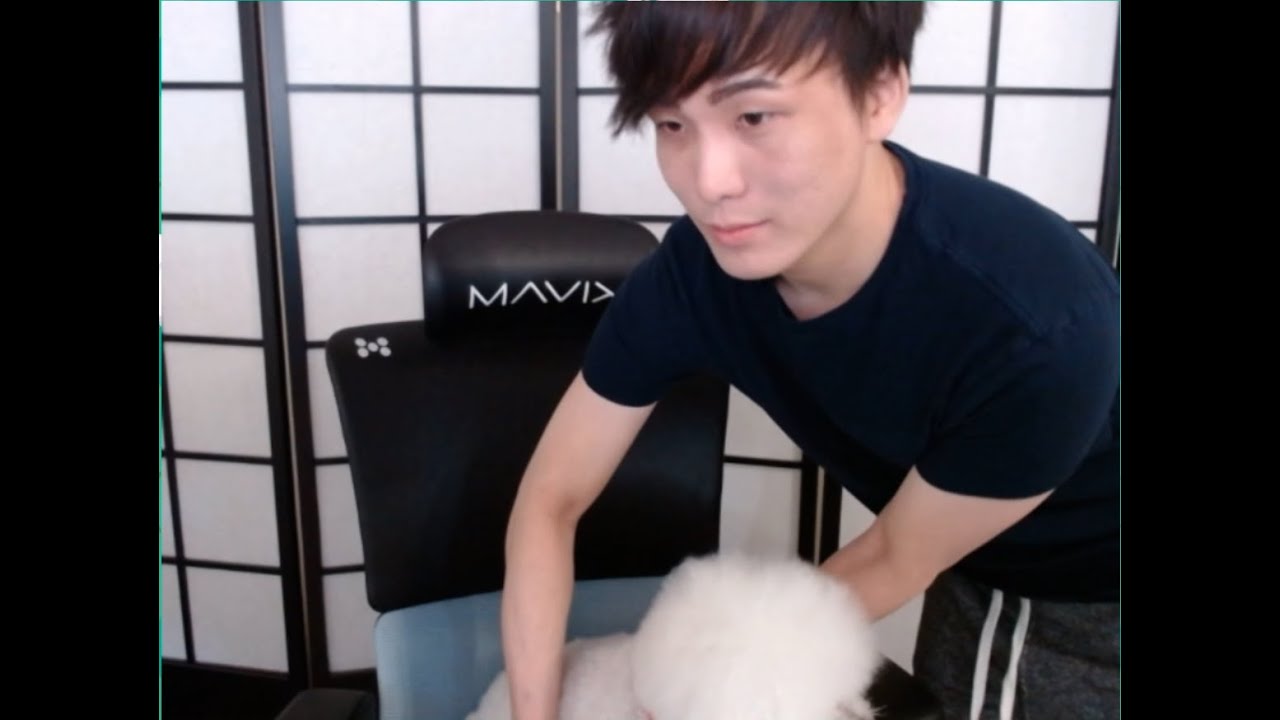 BIMBUS TAKES OVER SYKKUNO's STREAM WHILE HE WAS GONE !! | Sykkuno's dog ...