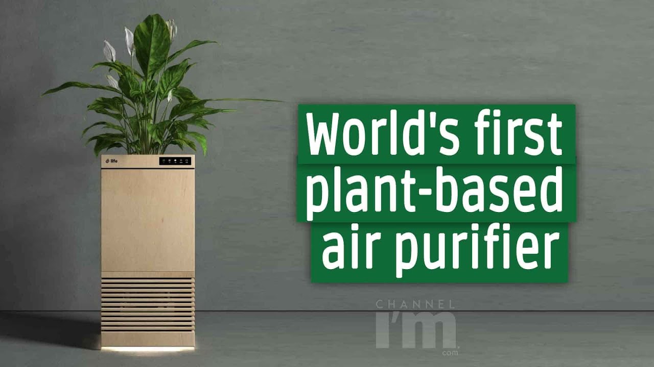 World's first plant-based air purifier - YouTube