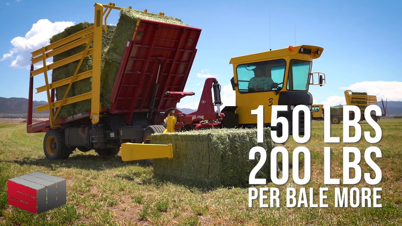 Gain Leaf Retention With Steamed Hay - YouTube
