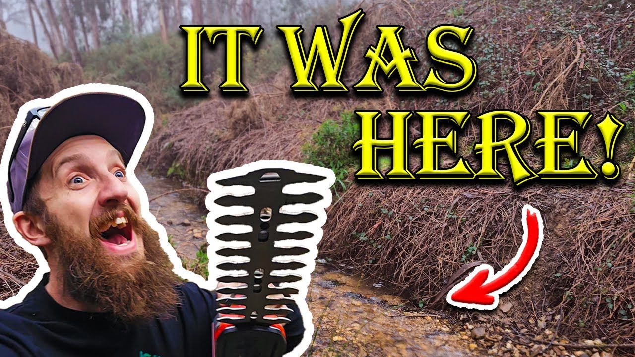 This Old Fallen Tree Reveals Hidden Gold Treasure! - YouTube