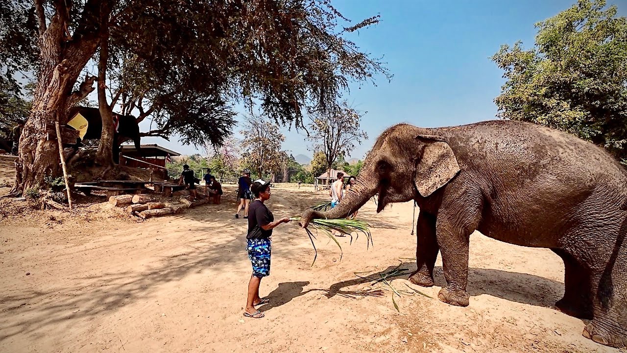 Thailand 🇹🇭|Conquering New Heights + Visiting This Epic Place In The ...