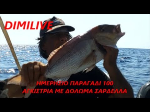 FISHING 🇬🇷ΣΥΝΑΓΡΙΔΑ ΓΙΑ ΦΟΥΡΝΟ!! ΗΜΕΡΗΣΙΟ ΠΑΡΑΓΑΔΙ 100 ΑΓΚΙΣΤΡΙΑ ΜΕ ...