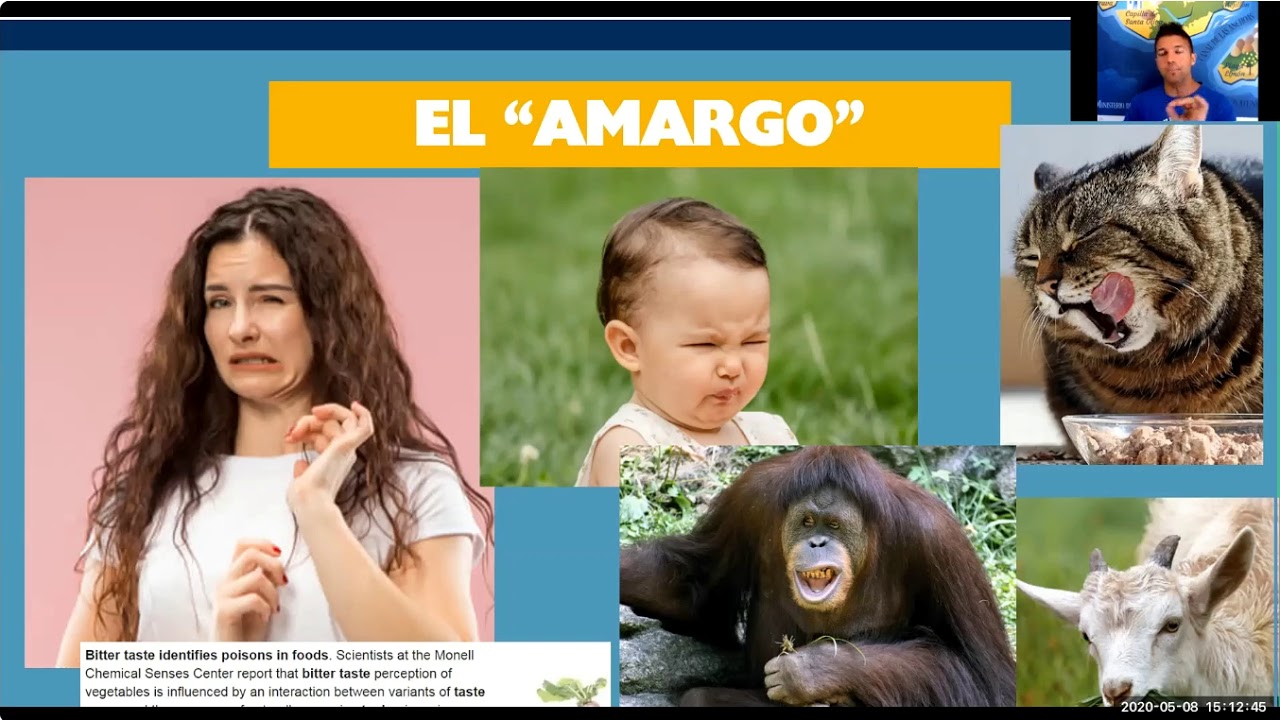 Los amari: una dulce historia (Masterclass bitter aperitivos y amari ...