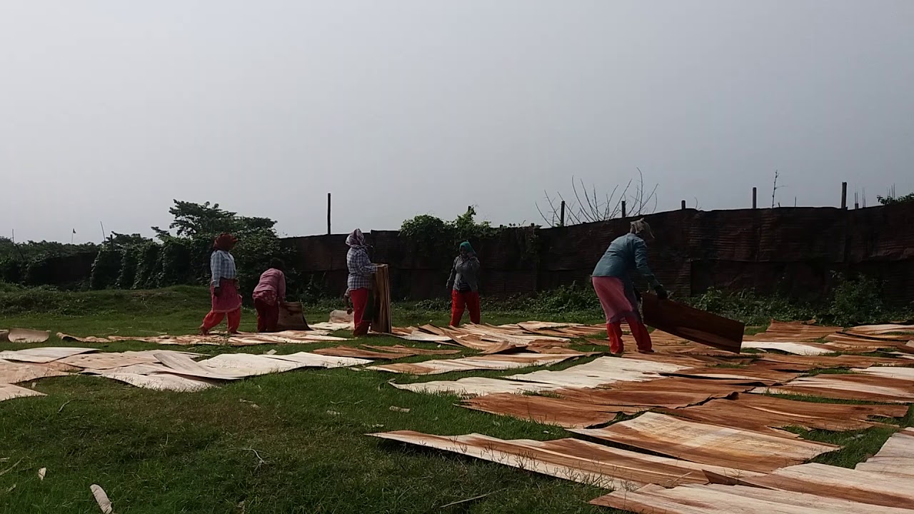 Bijay barman - YouTube