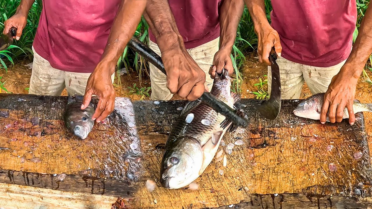 Top Three Popular Fish Cutting Skills Big Rohu and Tilapia Fish | Fast ...