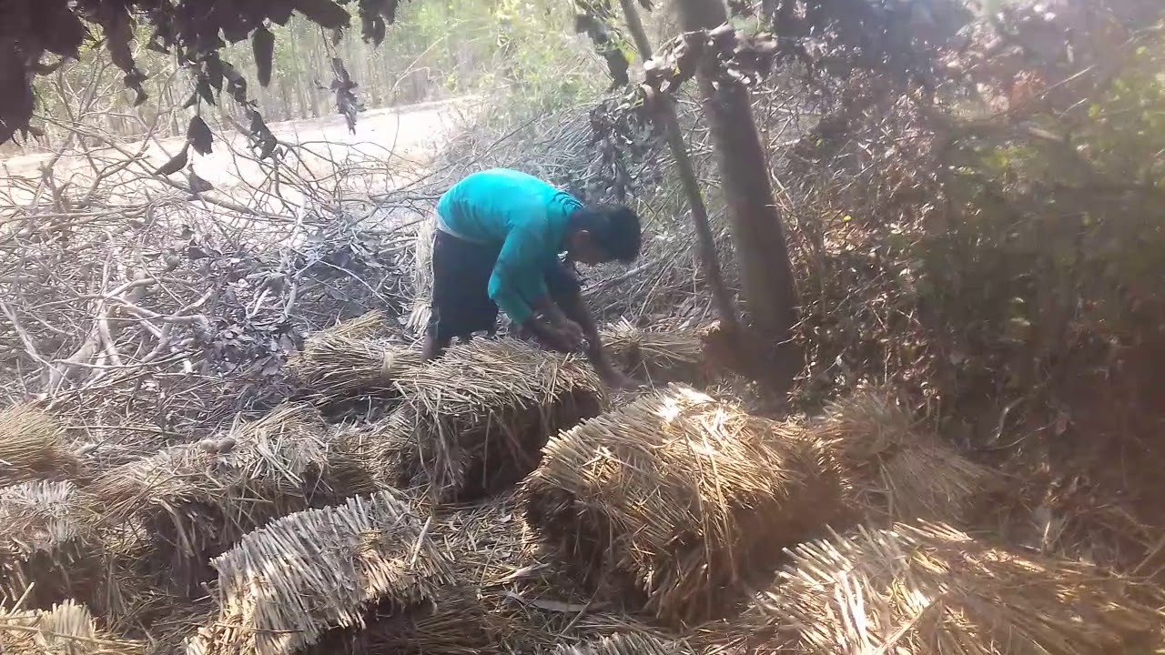 Odapalla chhatu chasa - YouTube